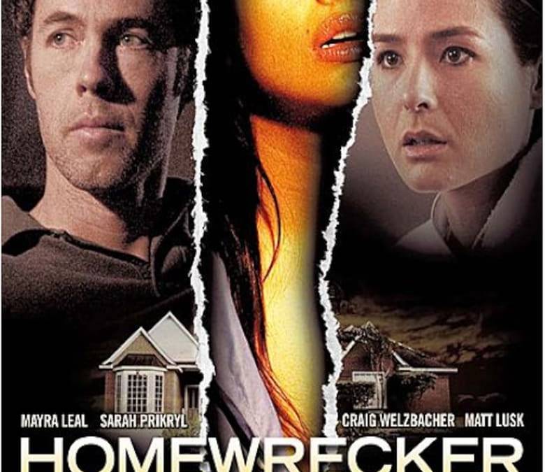 Playing House Summary, Trailer, Cast, Where to Watch and More
