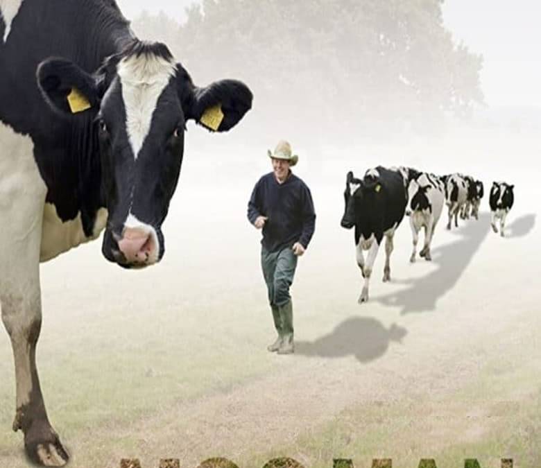 The Moo Man Summary, Trailer, Cast, Where to Watch and More