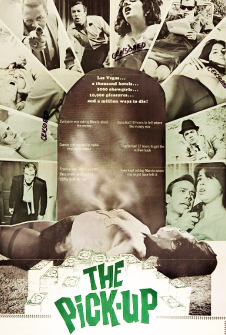 The Pick-Up Summary, Trailer, Cast, Where to Watch and More