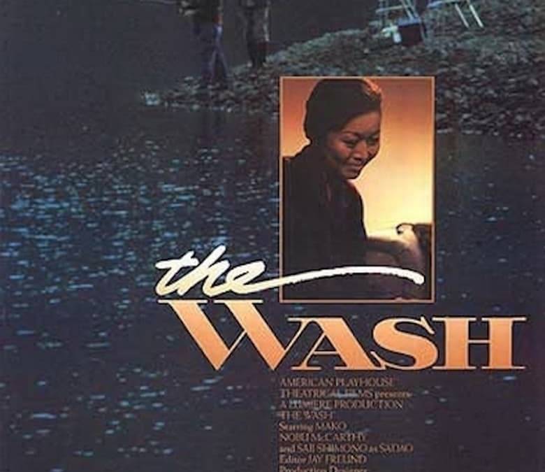 The Wash Summary, Trailer, Cast, Where to Watch and More