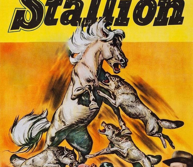 Wild Stallion Summary, Trailer, Cast, Where to Watch and More