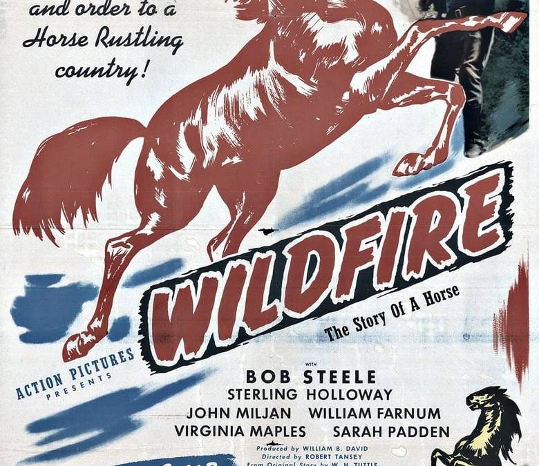 Wildfire Summary Trailer Cast Where To Watch And More
