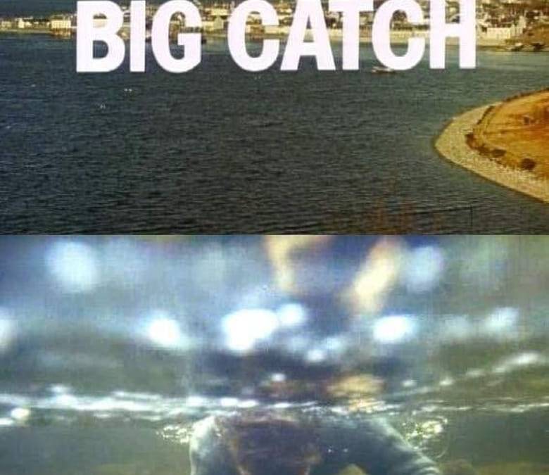 The Big Catch Summary, Trailer, Cast, Where to Watch and More
