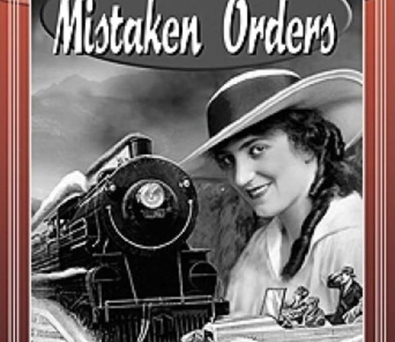 Mistaken Orders Summary, Trailer, Cast, Where to Watch and More