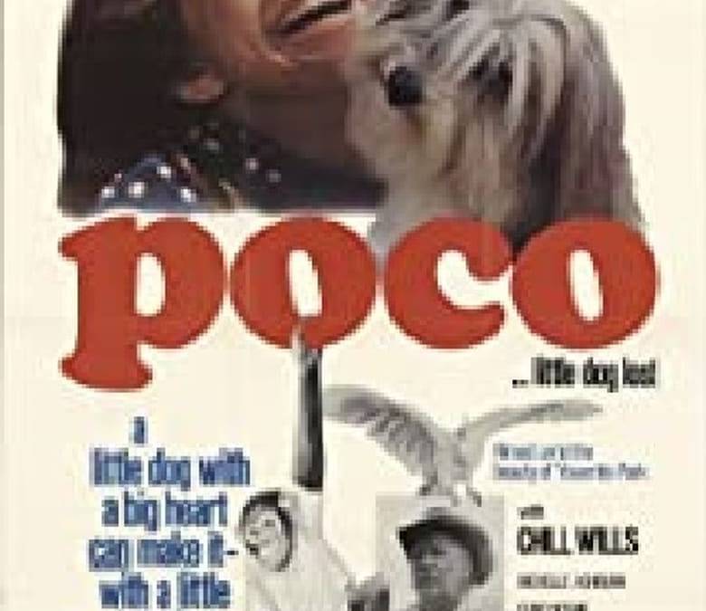 Poco… Little Dog Lost Summary, Trailer, Cast, Where to Watch and More