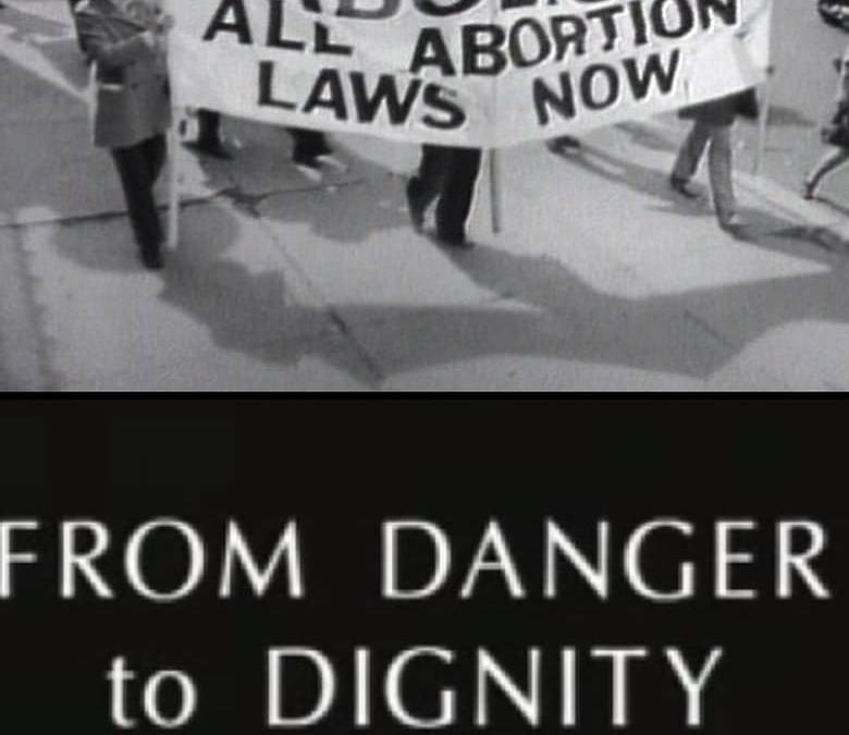 From Danger to Dignity: The Fight For Safe Abortion Summary, Trailer ...