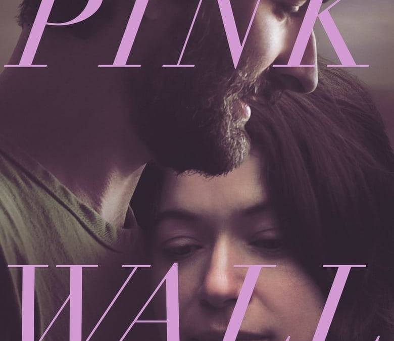 Pink Wall Summary, Trailer, Cast, Where to Watch and More