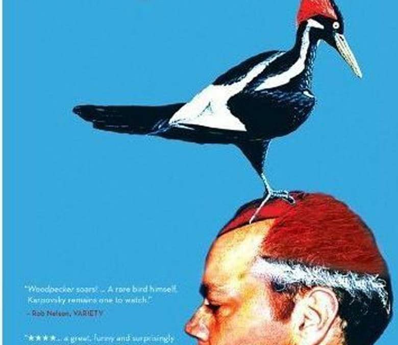 Woodpecker Summary, Trailer, Cast, Where to Watch and More