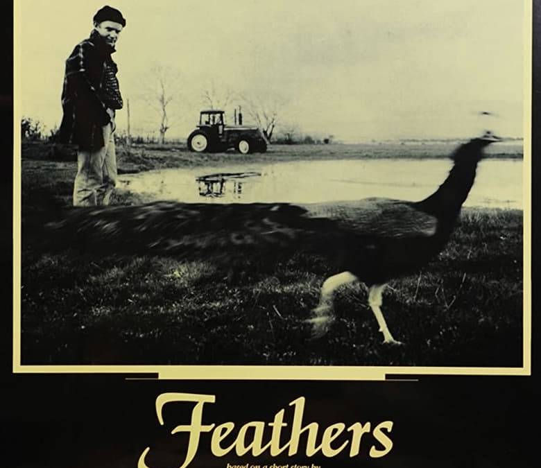 Feathers Summary, Latest News, Trailer, Cast, Where to Watch and More