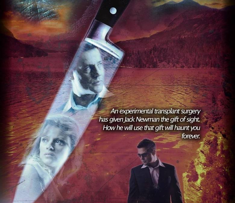 Blindsided Summary, Trailer, Cast, Where to Watch and More