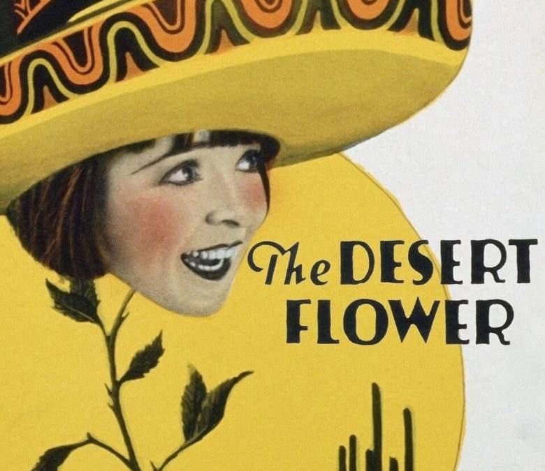 The Desert Flower Summary, Trailer, Cast, Where to Watch and More