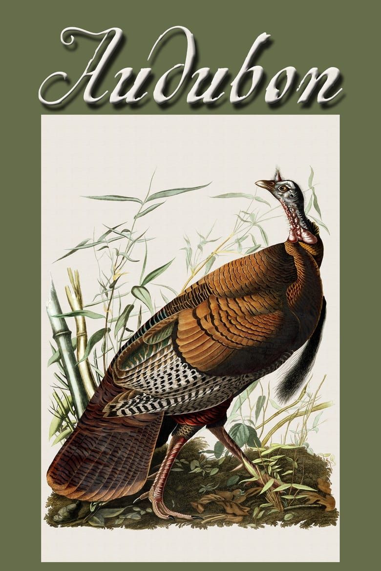 Audubon Summary, Latest News, Trailer, Cast, Where to Watch and More