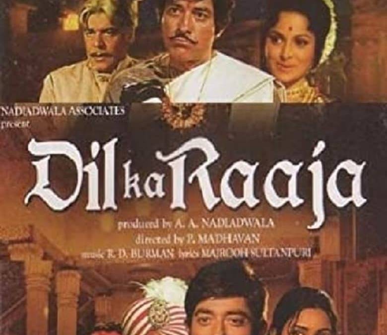 Dil Ka Raaja Summary, Trailer, Cast, Where to Watch and More