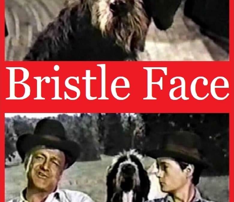Bristle Face Summary, Trailer, Cast, Where to Watch and More