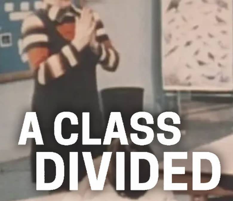 A Class Divided Summary, Trailer, Cast, Where to Watch and More