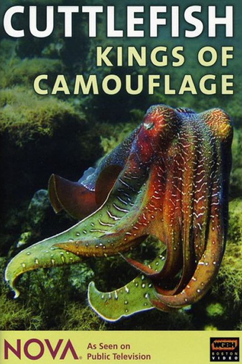 Cuttlefish: Kings of Camouflage Summary, Trailer, Cast, Where to Watch ...