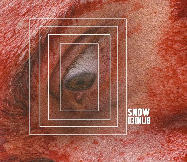 Snow Blinded Summary, Trailer, Cast, Where to Watch and More