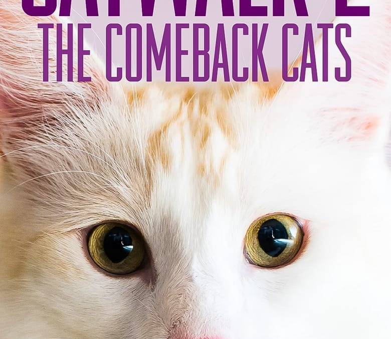 Catwalk 2: The Comeback Cats Summary, Trailer, Cast, Where to Watch and ...
