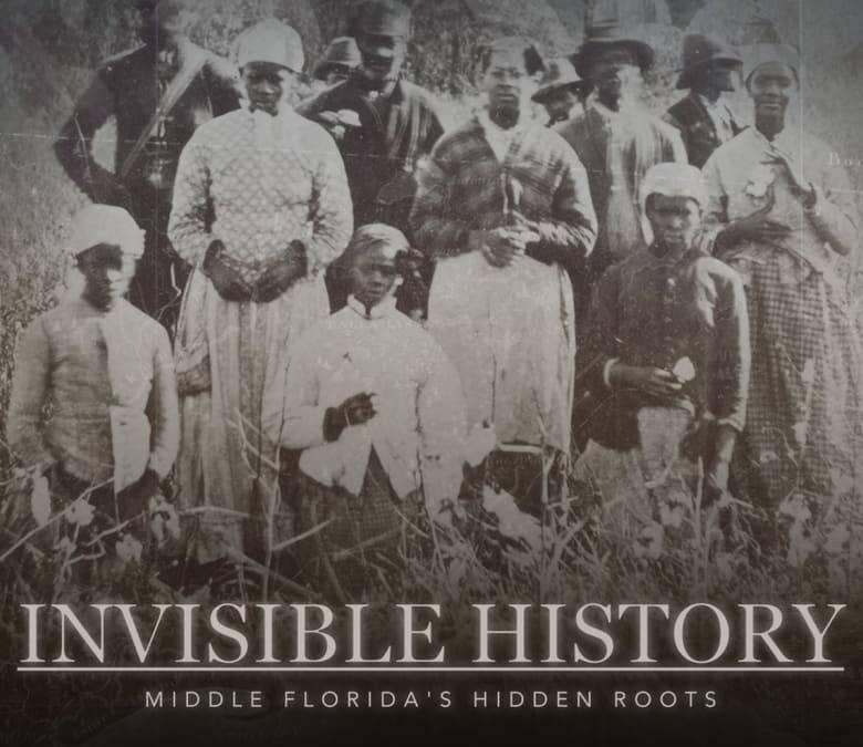 Invisible History: Middle Florida's Hidden Roots Summary, Trailer, Cast ...