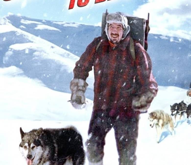 Challenge to be Free Summary, Trailer, Cast, Where to Watch and More