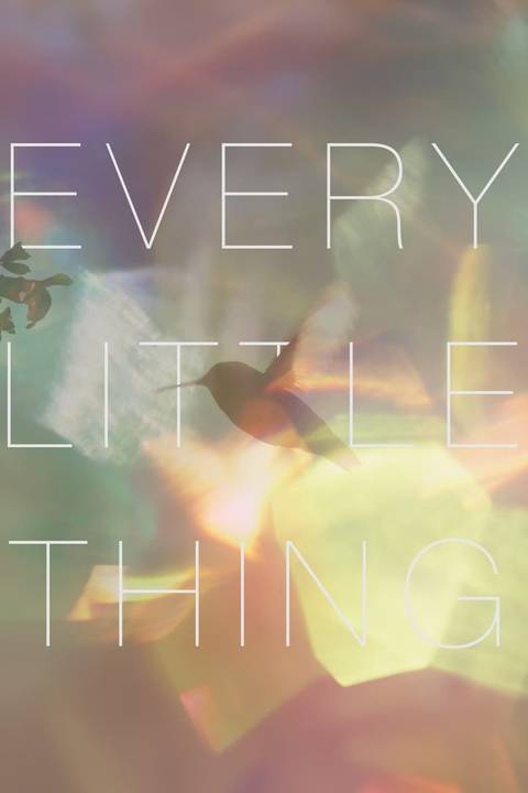 Every Little Thing's Sally Aitken On "Quirky" & "Curious" Documentary ...