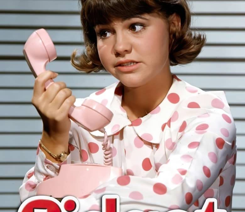 Gidget Summary, Trailer, Season List, Cast, Where to Watch and More