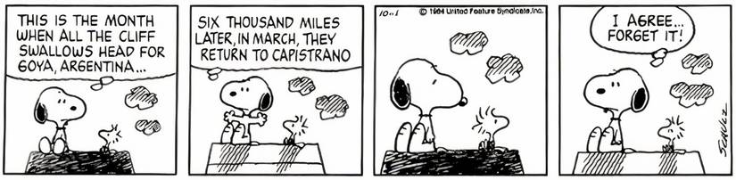 10 Funniest Peanuts Comics Showcasing Snoopy & Woodstock's Friendship