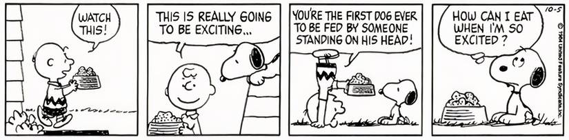 10 Funniest Peanuts Comics Showcasing Snoopy & Woodstock's Friendship