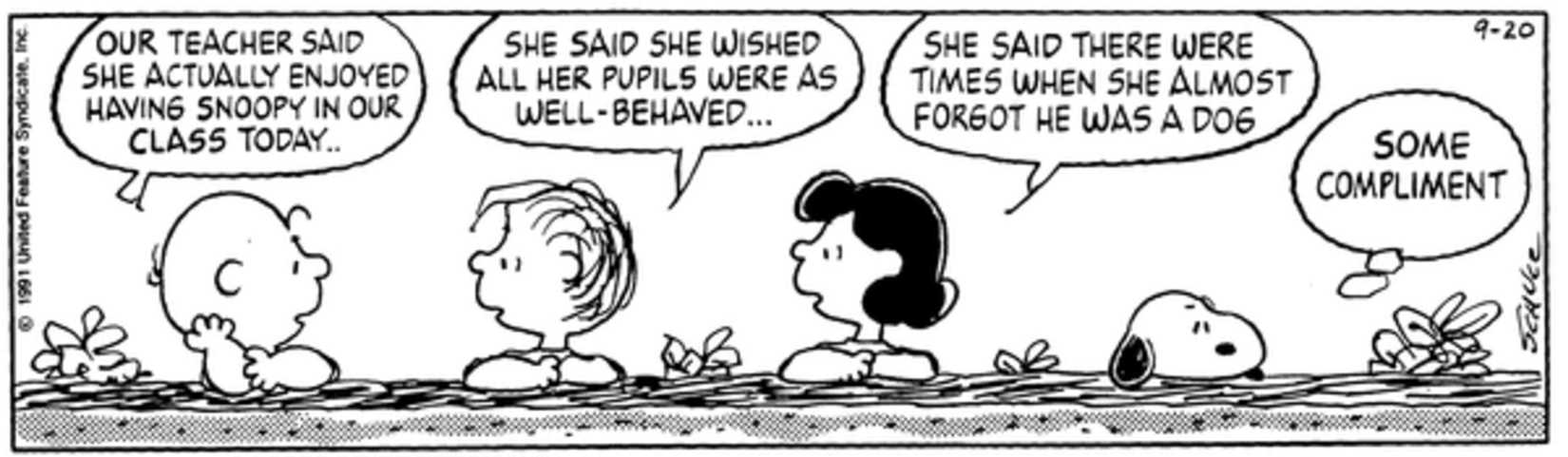 Peanuts: 10 Funniest Snoopy at School Comics