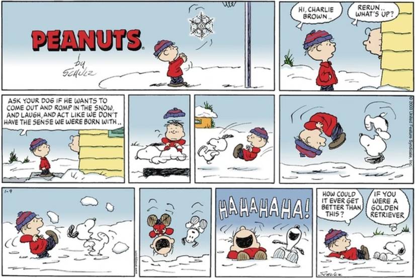 10 Funniest Peanuts Comics to Help Welcome Winter