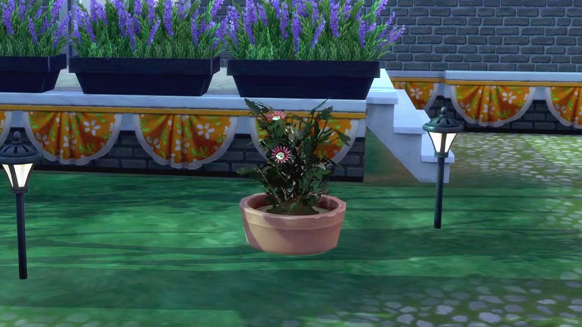 How To Get Death Flowers In The Sims 4