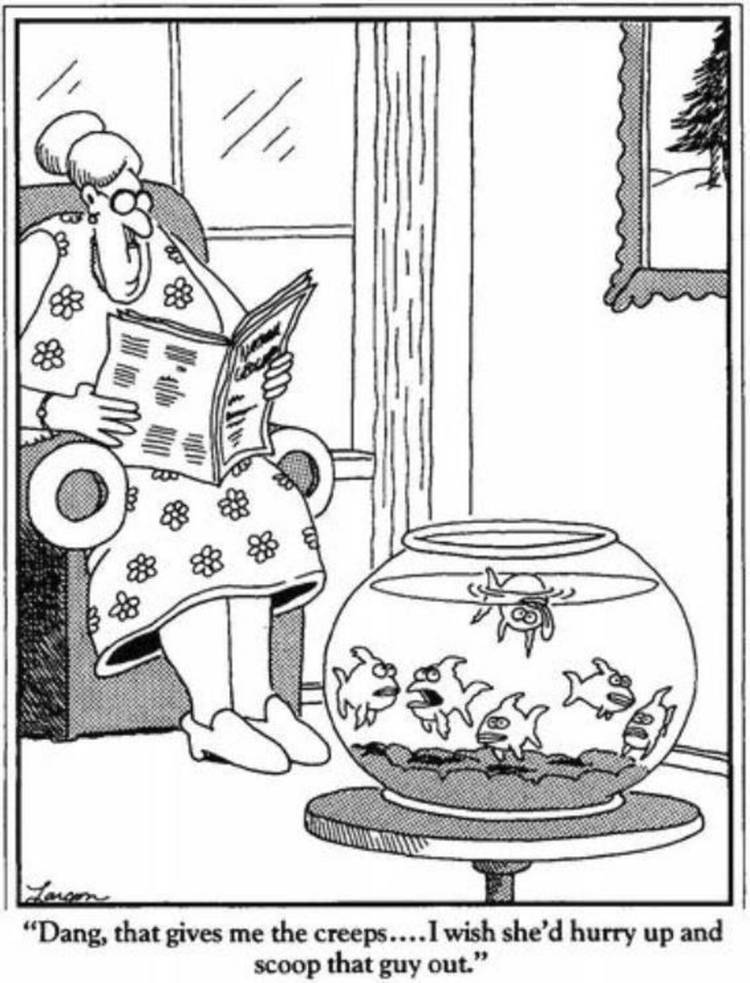 10 Far Side Comics That Will Make You Rethink Human-Animal Relationships
