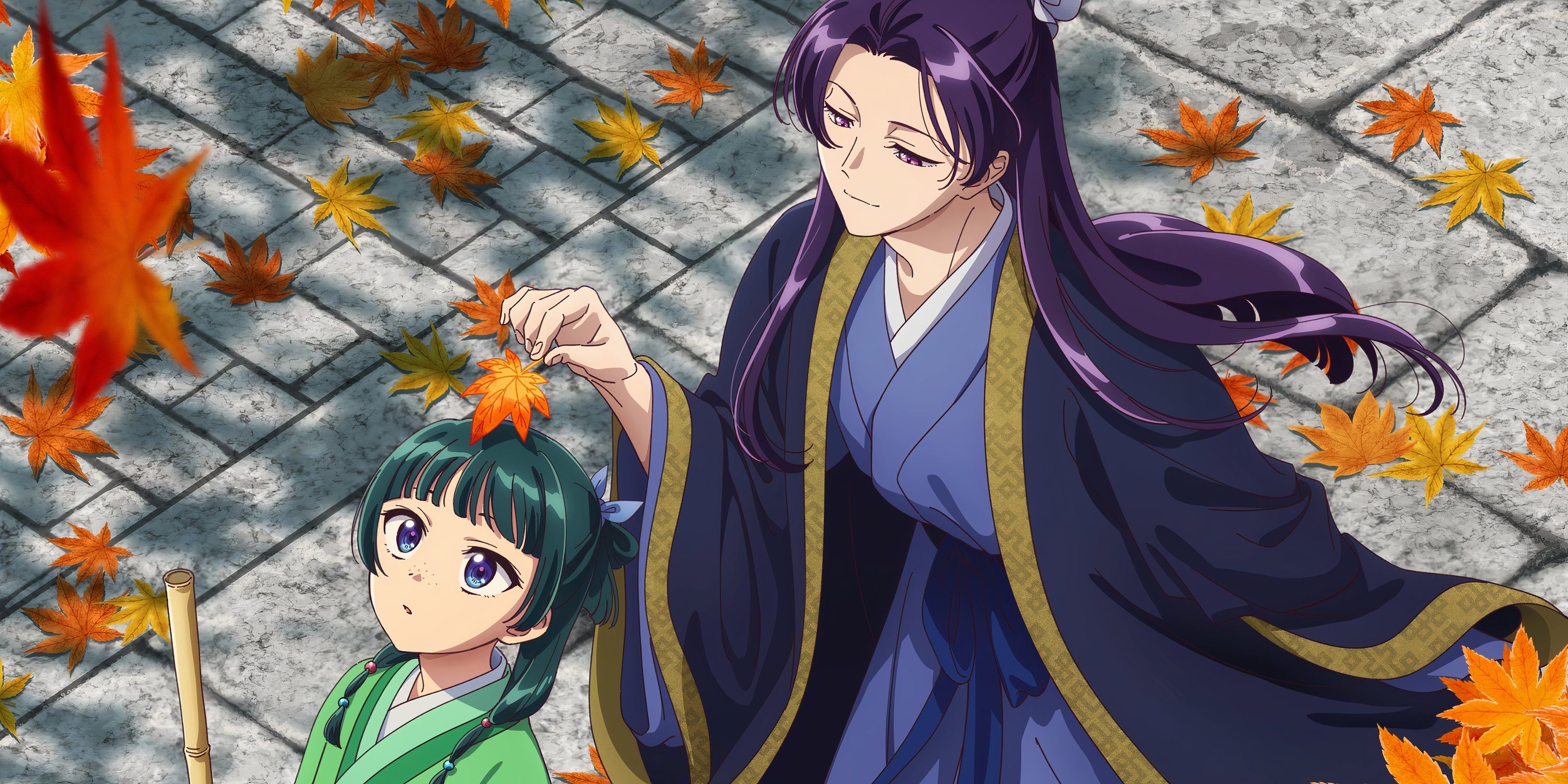 Apollo Diaries Anime