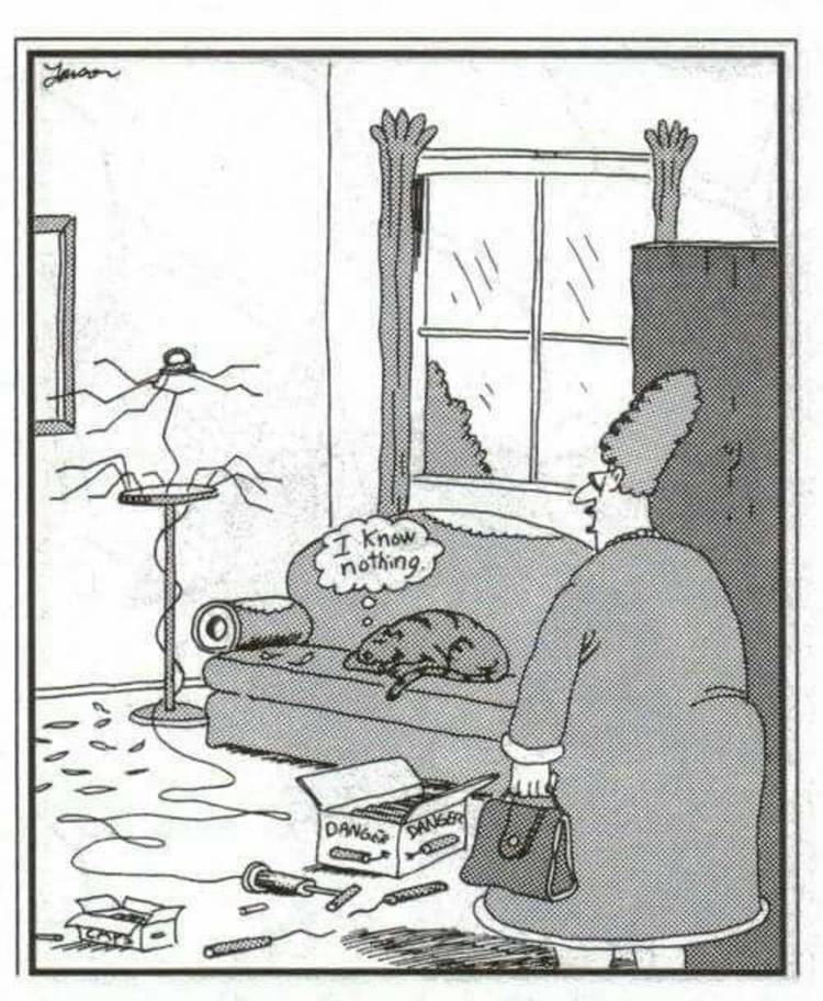 10 Far Side Comics That Still Resonate With Cat Lovers Today