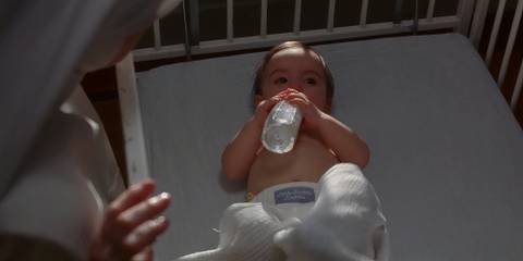 Elf Summary, Trailer, Cast, Where to Watch and More