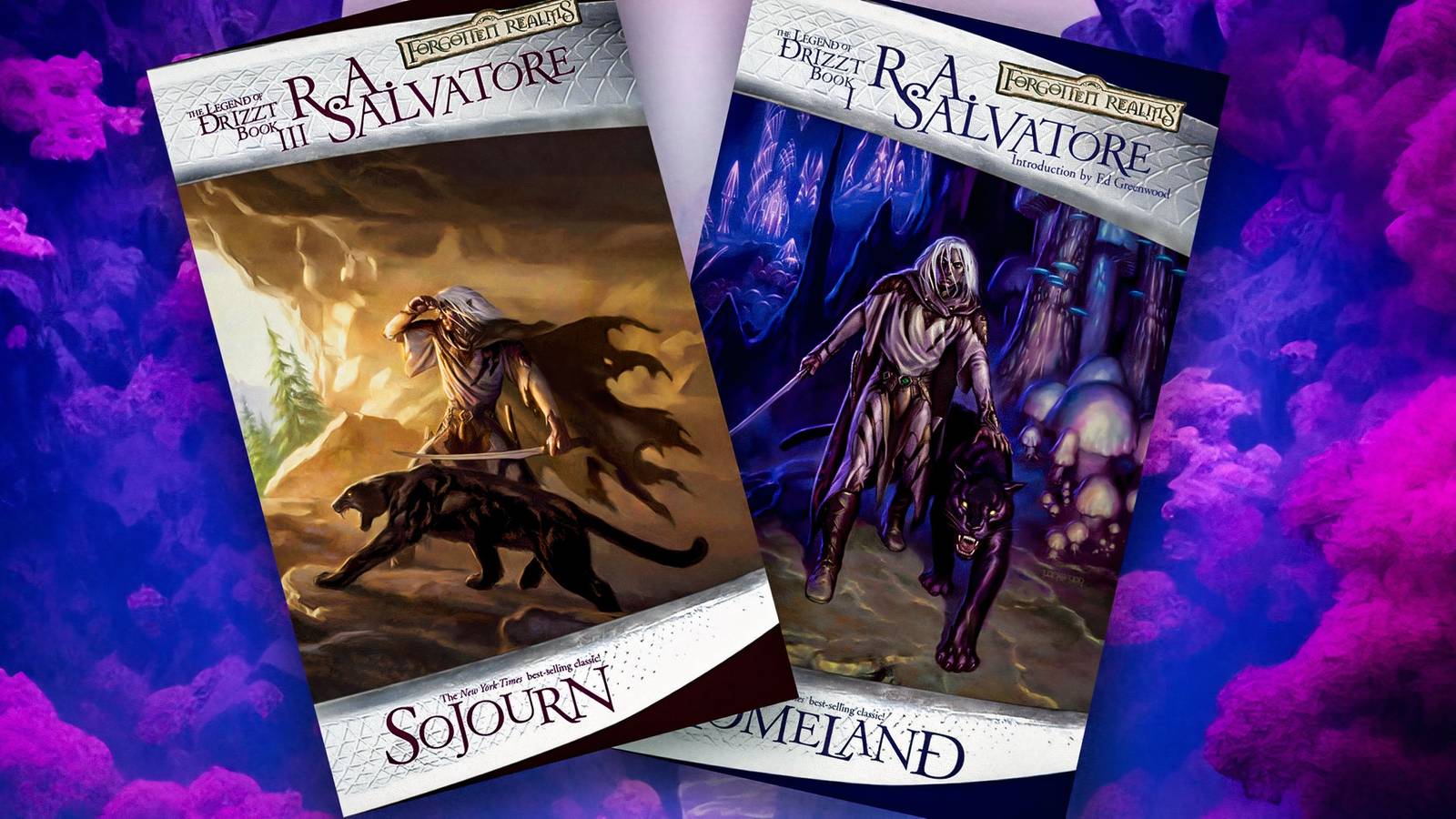 How Each Character's Story Ends In The Legend Of Drizzt Books