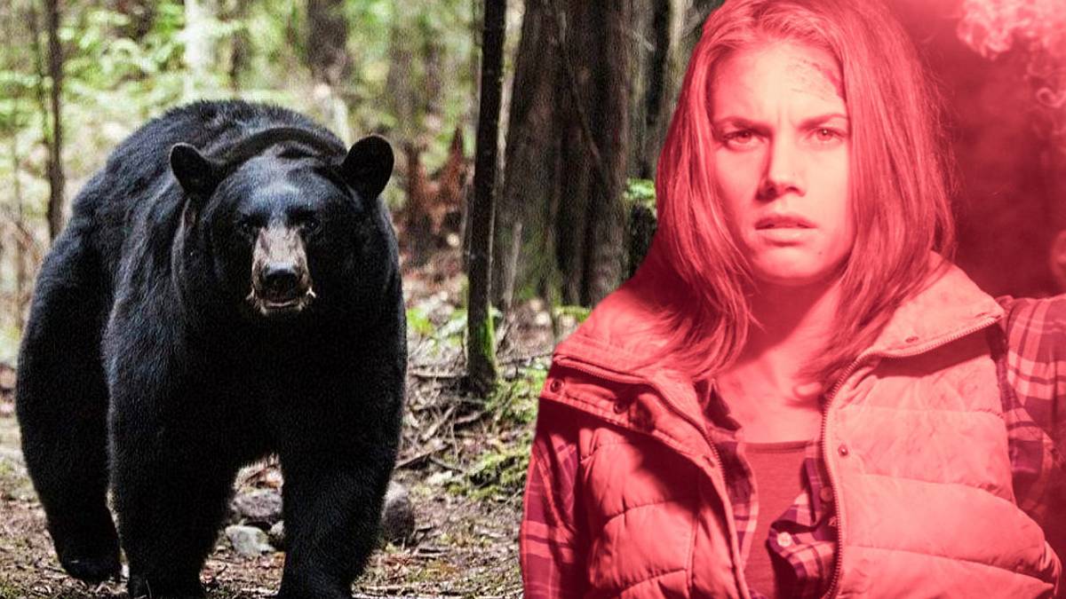 Backcountry Movie True Story Explained: Did The Bear Attack Really Happen?