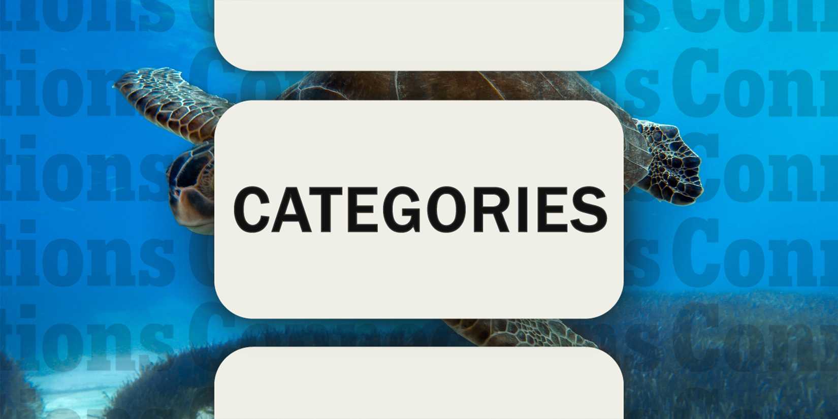 Today's Connections Hints & Answers For November 05, 2024 (Puzzle #513)