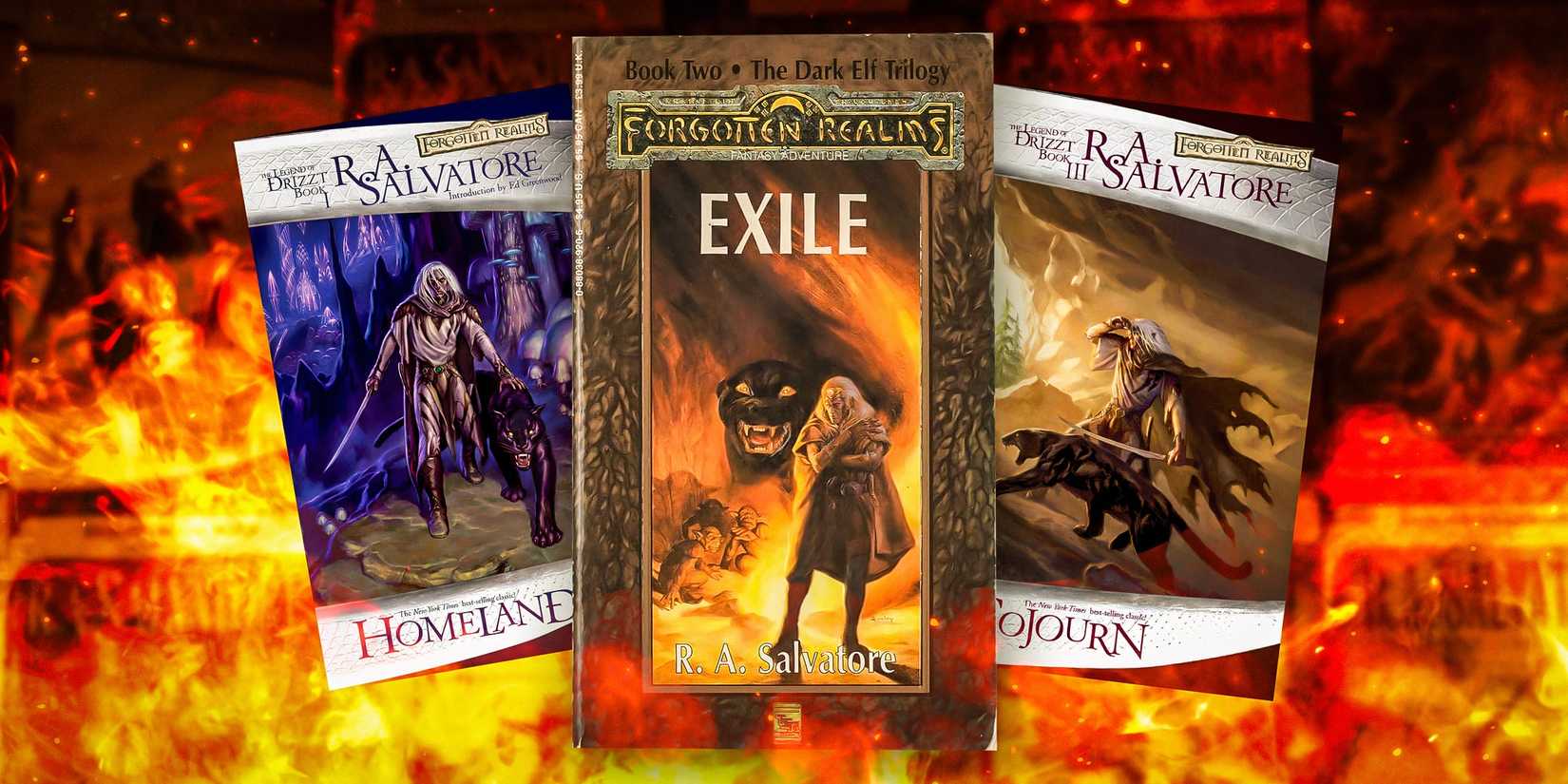 How Each Character's Story Ends In The Legend Of Drizzt Books