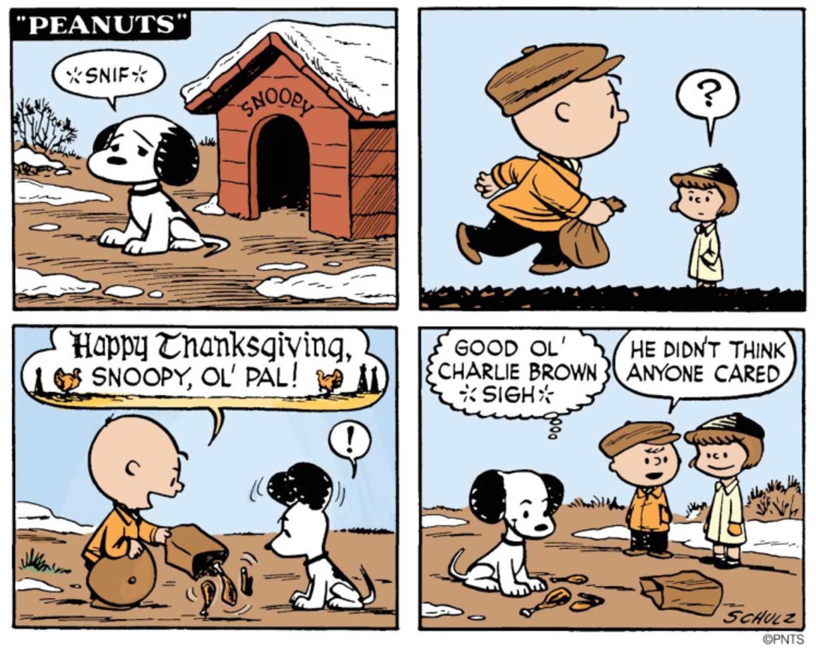 10 Funny Peanuts Comic Perfect for Thanksgiving