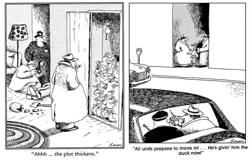 These 3 Far Side Comics Combine to Explain Why Ducks Are Illegal in ...