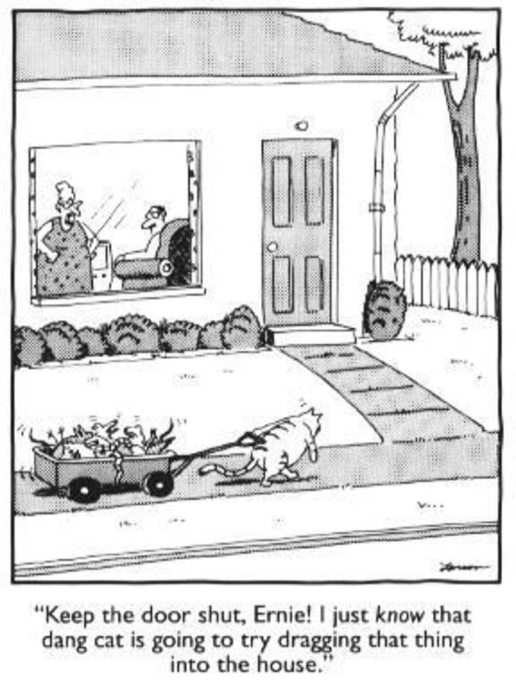 10 Far Side Comics That Still Resonate With Cat Lovers Today