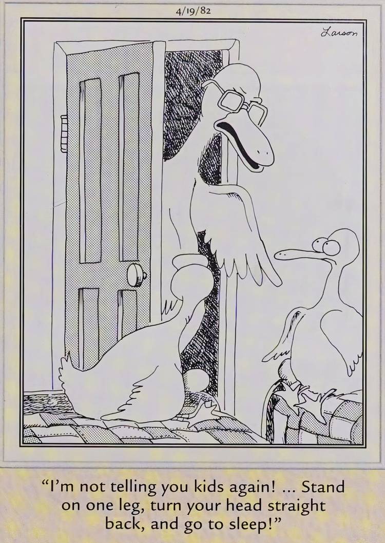 10 Far Side Comics That Will Make You Rethink Your Entire Childhood