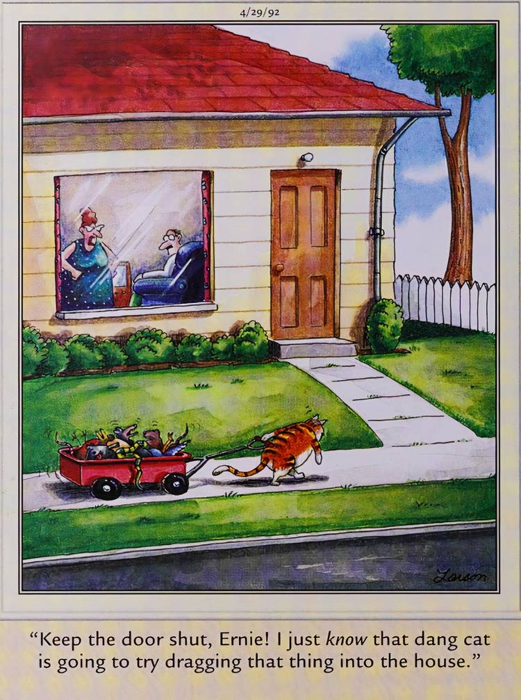 10 Hilarious Far Side Comics That Make the Ordinary Outrageous