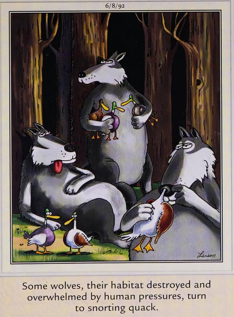 12 Far Side Comics From 1992 That Make Readers Go "What the ...