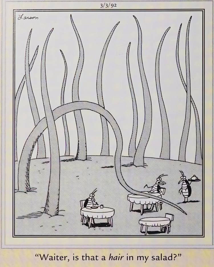 12 Far Side Comics From 1992 That Make Readers Go "What the ...