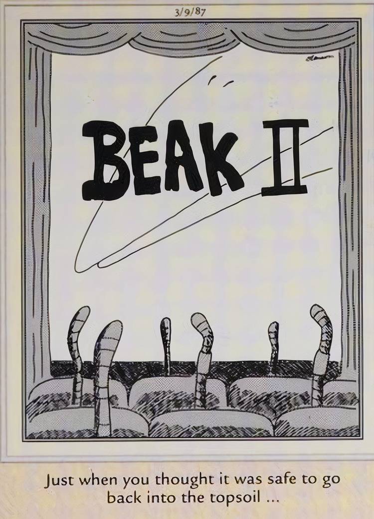 10 Best Far Side Pop Culture References From 1987 Alone (From the ...