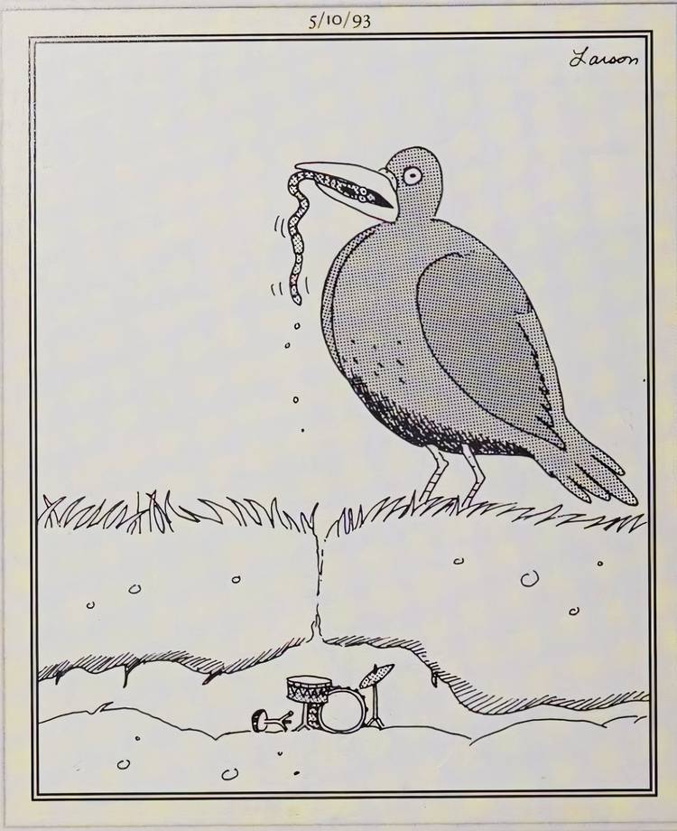 12 Far Side Comics From 1993 That Make Readers Go "What the?"