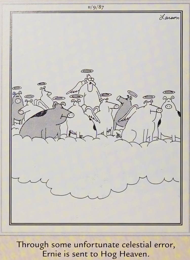 The Far Side’s Top 10 Workplace Comics That Nail Office Drama Perfectly