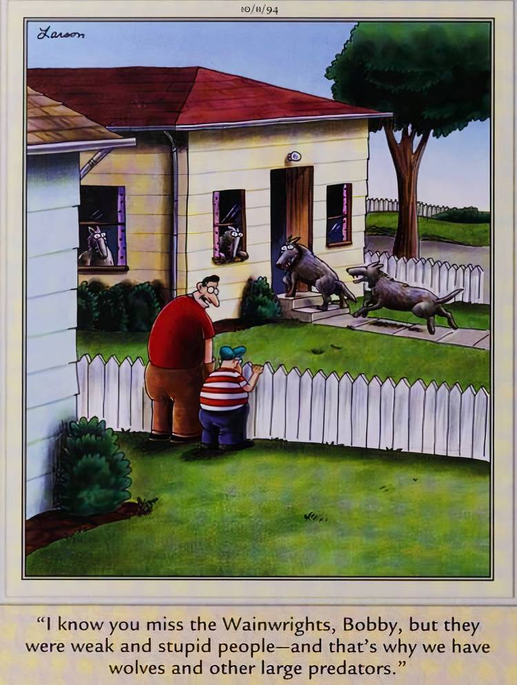 12 Far Side Comics From 1994 That Make Readers Go "What the?" (Was the ...